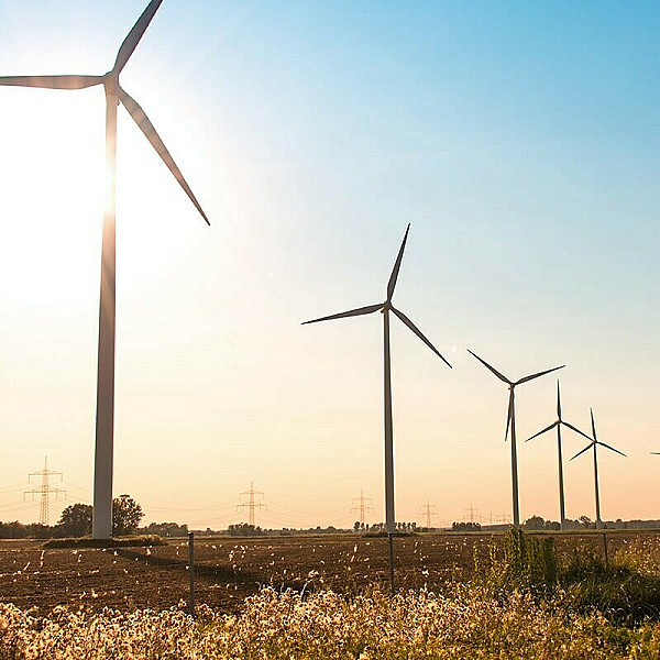 Fallstudie: Windstrom AG – löst du den Case? | Staufenbiel Institut